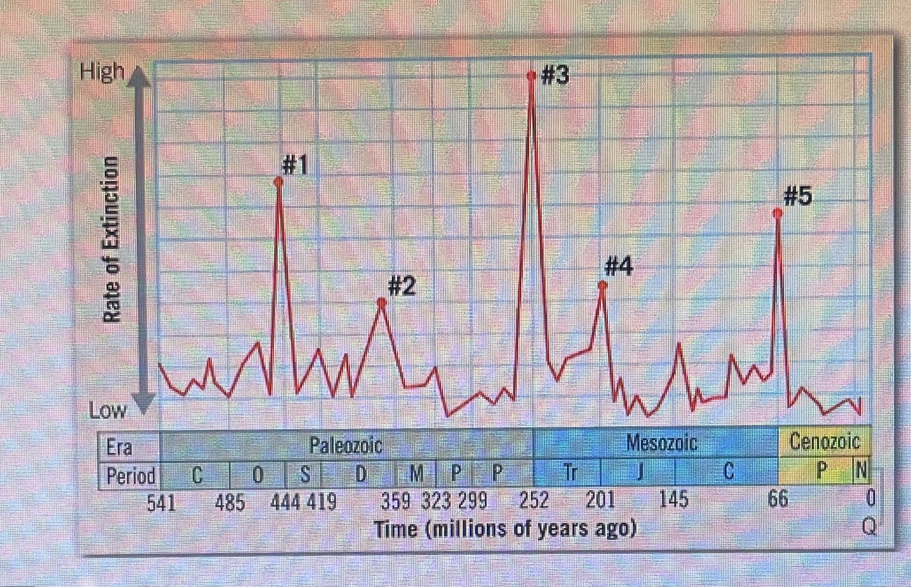 Solved 5 ﻿mass extinctions in which 50% ﻿or more of earth's | Chegg.com