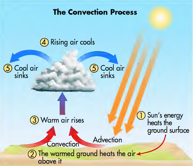 Solved Name the specific atmospheric circulation cell | Chegg.com