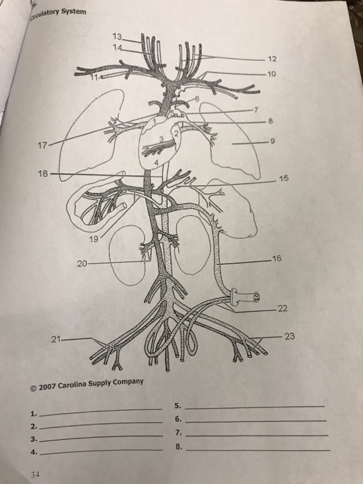 Solved tory System 13 14 10 17 18 15 19 20 16 21 23 C 2007 | Chegg.com