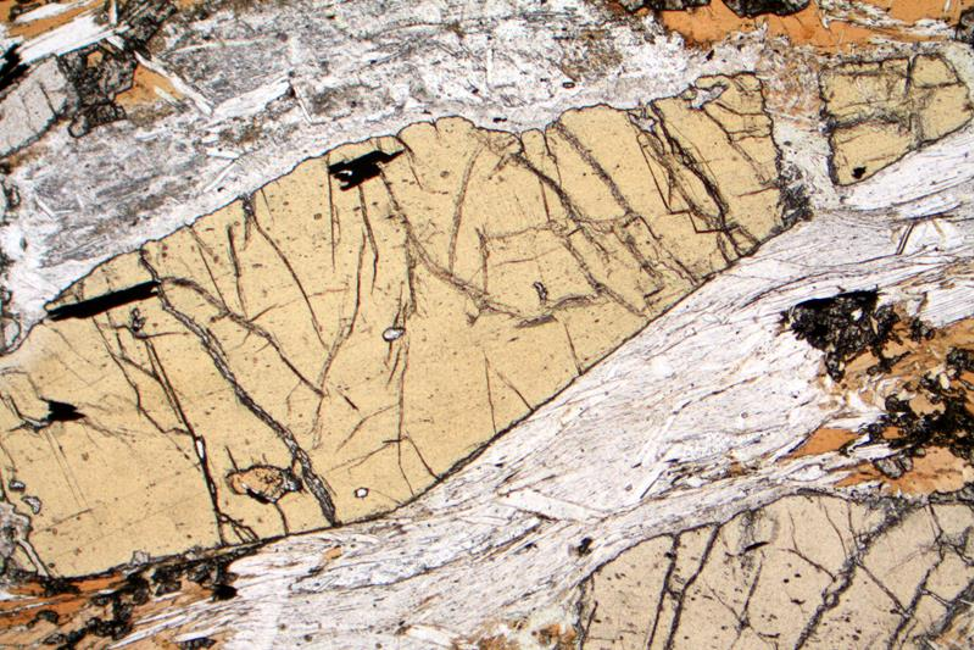 Solved Pelitic protolith (series A): greenschist, | Chegg.com