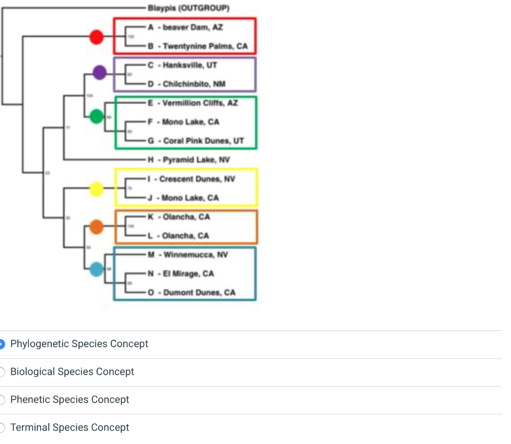 Solved Based on the information from the following table and | Chegg.com