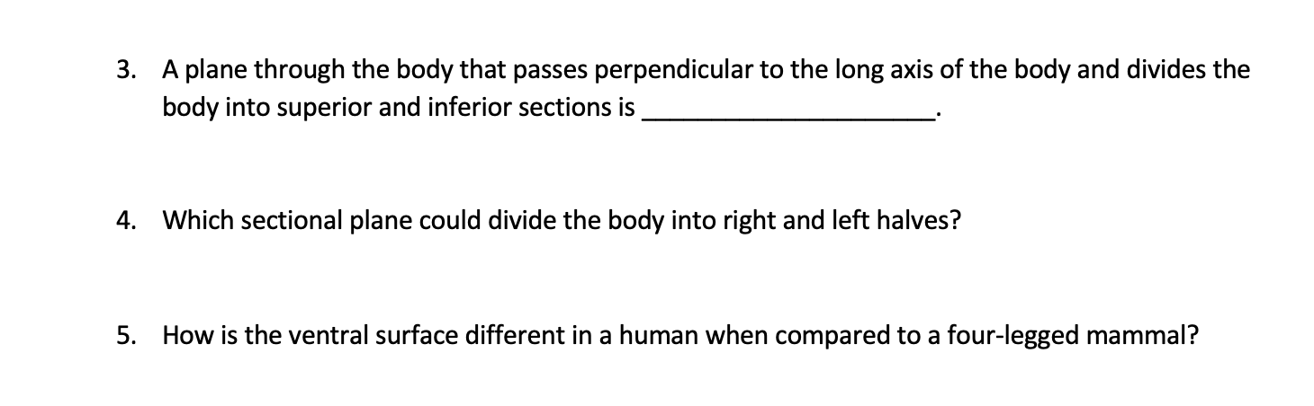 Solved 3. A plane through the body that passes perpendicular | Chegg.com