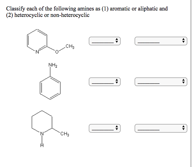 Solved Classify each of the following amines as (1) primary, | Chegg.com