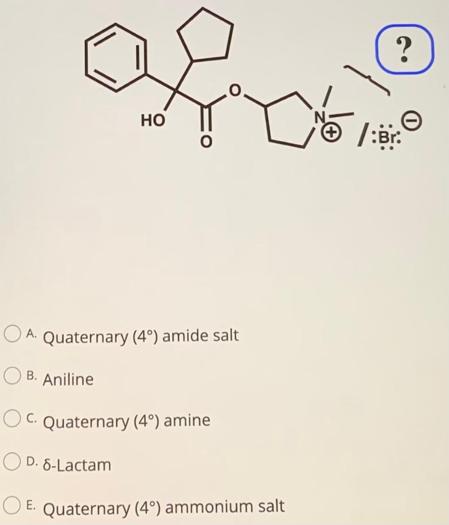 Solved ? HO No 7:Br: O A. Quaternary (4º) amide salt B. | Chegg.com