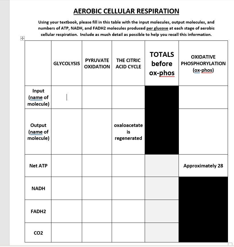 Solved AEROBIC CELLULAR RESPIRATION Using your textbook, | Chegg.com