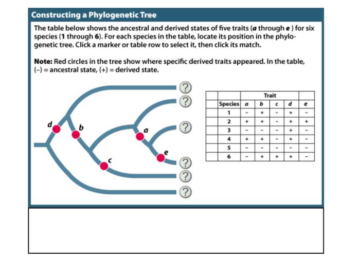 Solved Constructing a Phylogenetic Tree The table below | Chegg.com