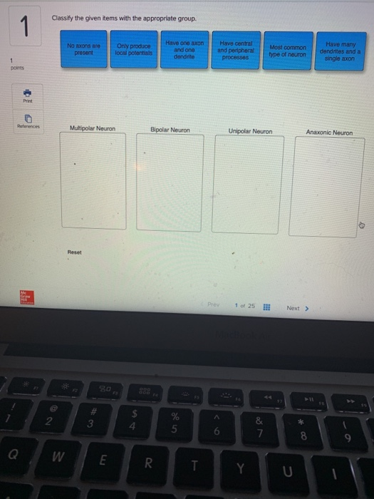 Solved Classify the given items with the appropriate group. | Chegg.com