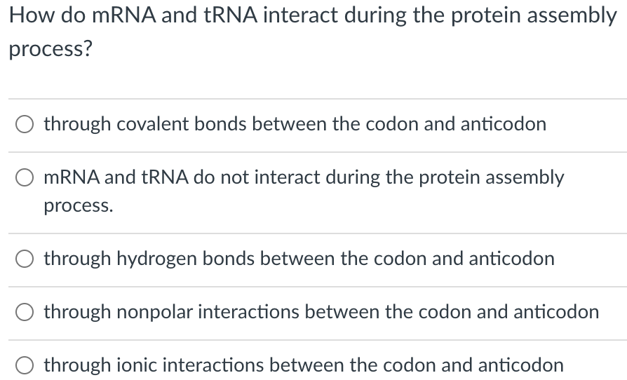 Solved How do mRNA and tRNA interact during the protein | Chegg.com