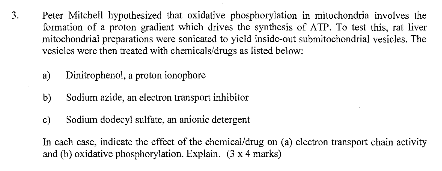 Solved 3. Peter Mitchell hypothesized that oxidative | Chegg.com