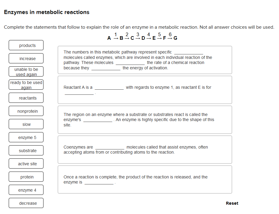 Solved Enzymes in metabolic reactions Complete the | Chegg.com