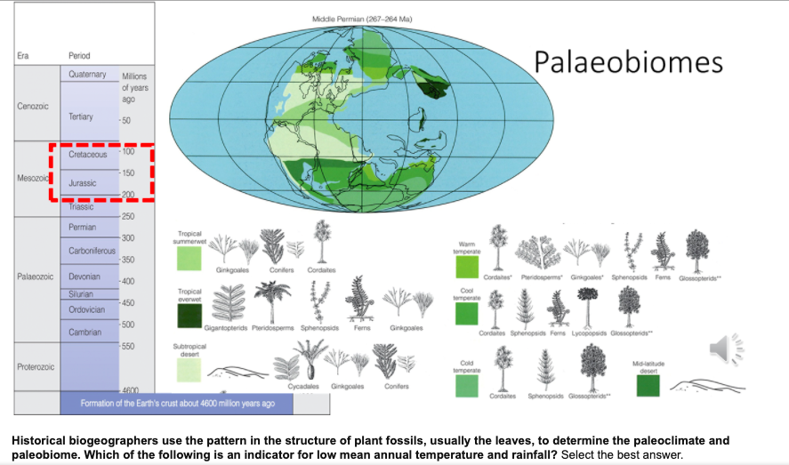 Solved Middle Permian (287-284 Ma) Era Period Quaternary | Chegg.com