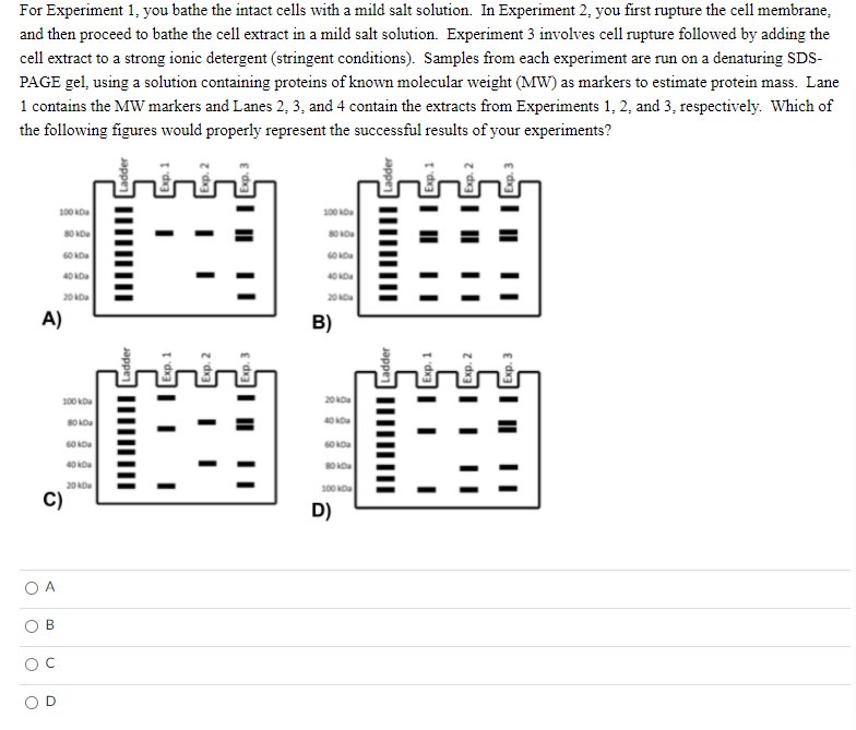 Solved You perform a series of experiments to isolate | Chegg.com