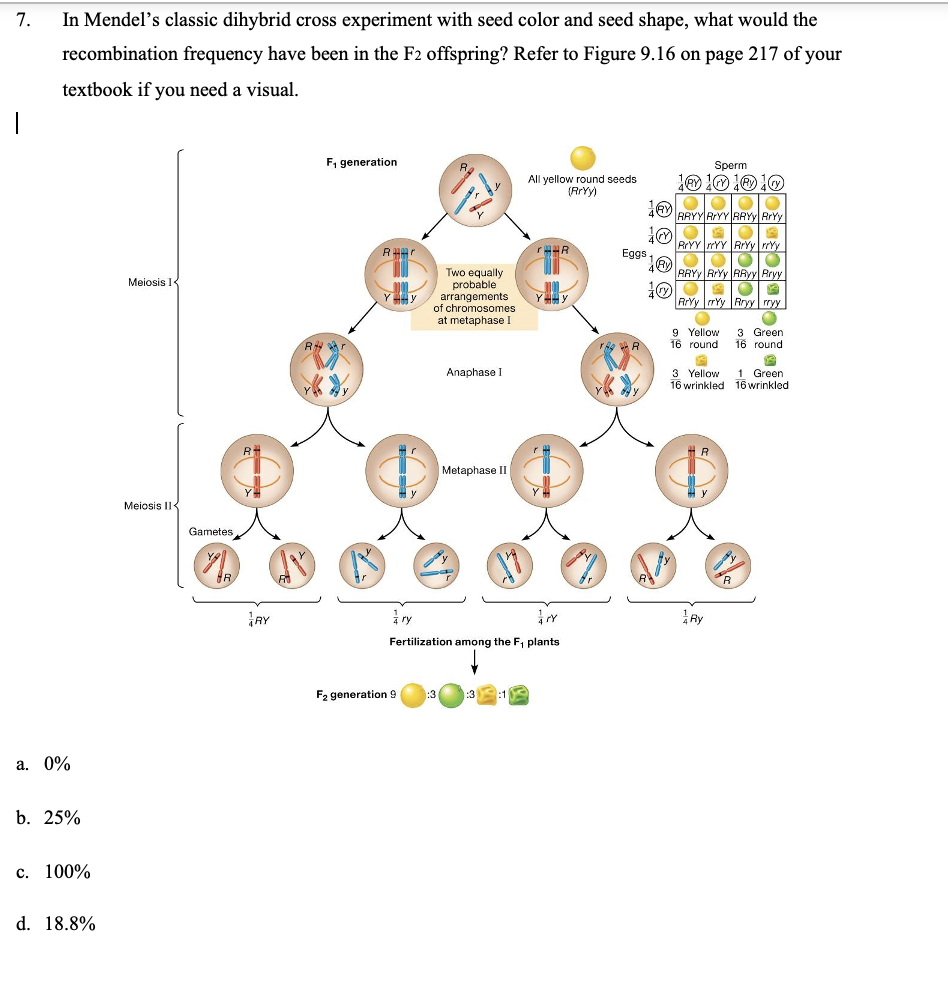 In Mendel's classic dihybrid cross experiment with | Chegg.com