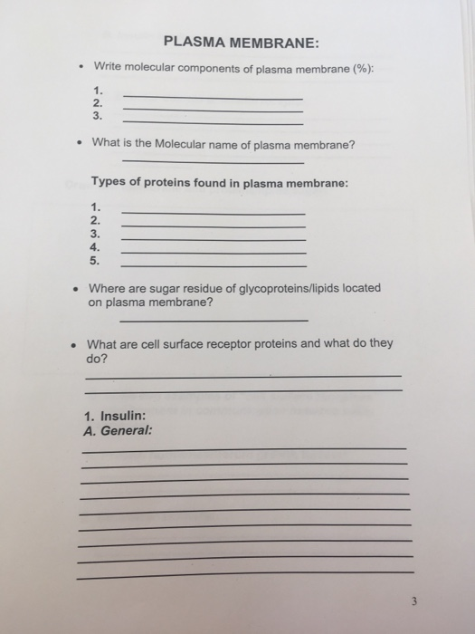 Solved PLASMA MEMBRANE: Write molecular components of plasma | Chegg.com