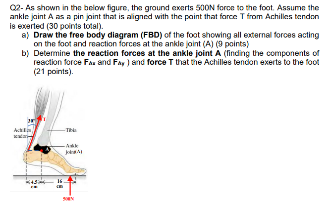 Solved Q2- As shown in the below figure, the ground exerts | Chegg.com