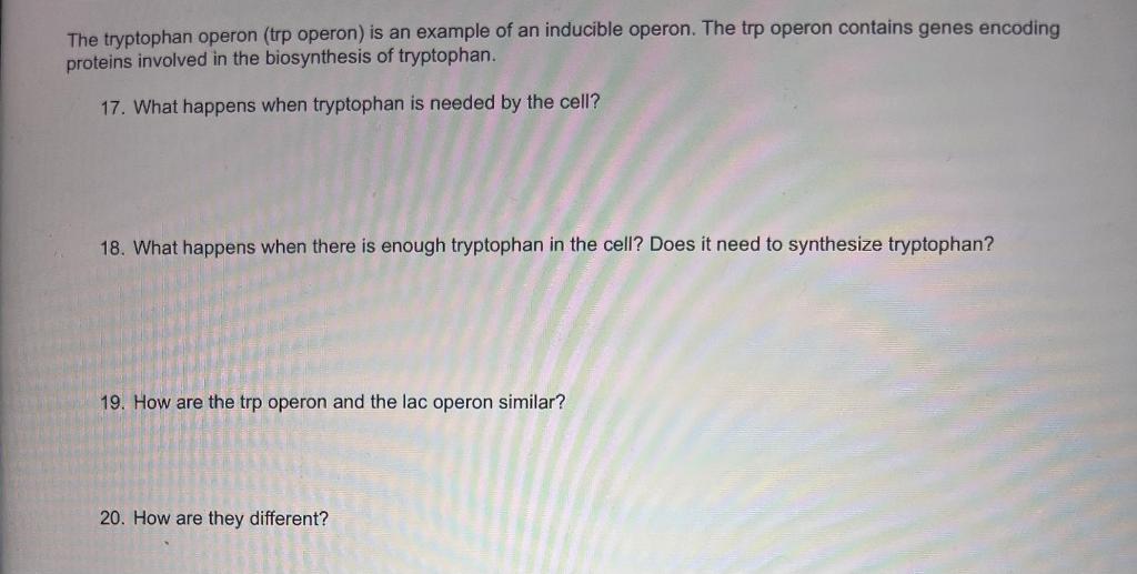 Solved The tryptophan operon (trp operon) is an example of | Chegg.com