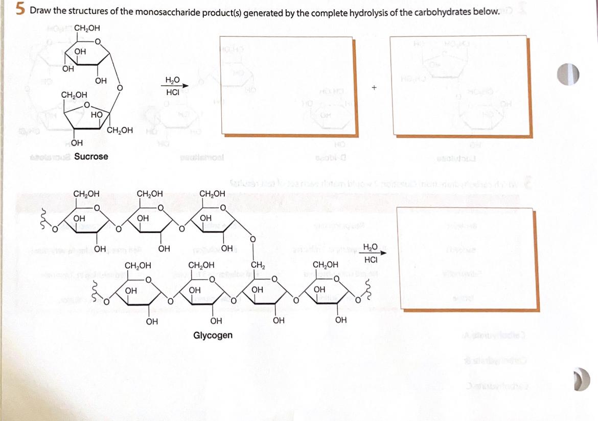 Solved 2 Circle the anomeric carbon in each monosaccharide | Chegg.com