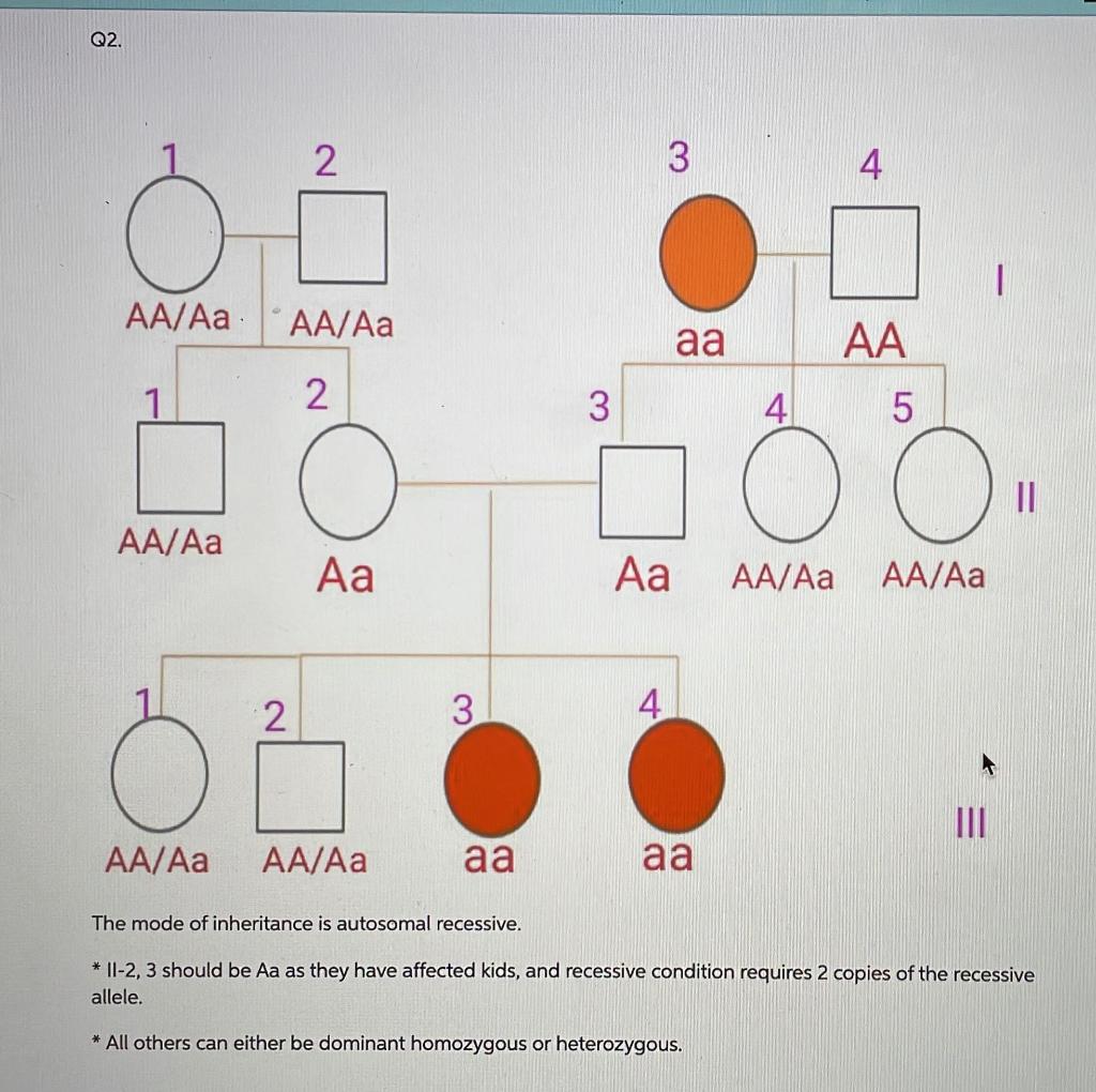 Solved Note: let us consider the allele for the trait as A | Chegg.com