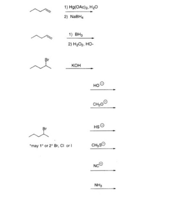 Solved Reactions of Alkanes may also use Cly/hv may also use | Chegg.com