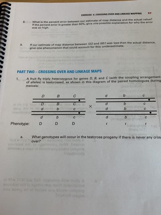 Solved 57 EXERCISE 61 CROSSING OVER AND LINKAGE MAPPING What | Chegg.com