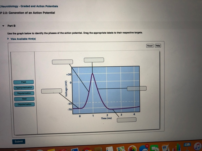 Solved Neurobiology-Graded and Action Potentials P 2.0: | Chegg.com