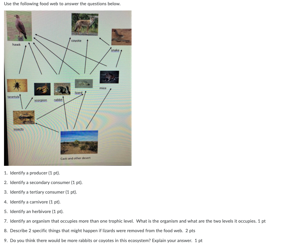 Solved Use the following food web to answer the questions | Chegg.com