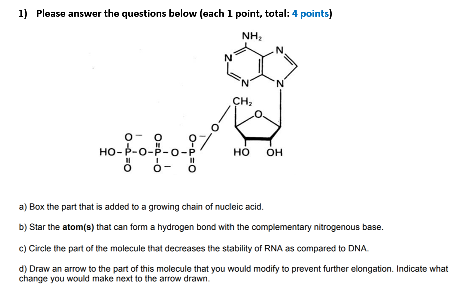 Solved 1) Please answer the questions below (each 1 point, | Chegg.com
