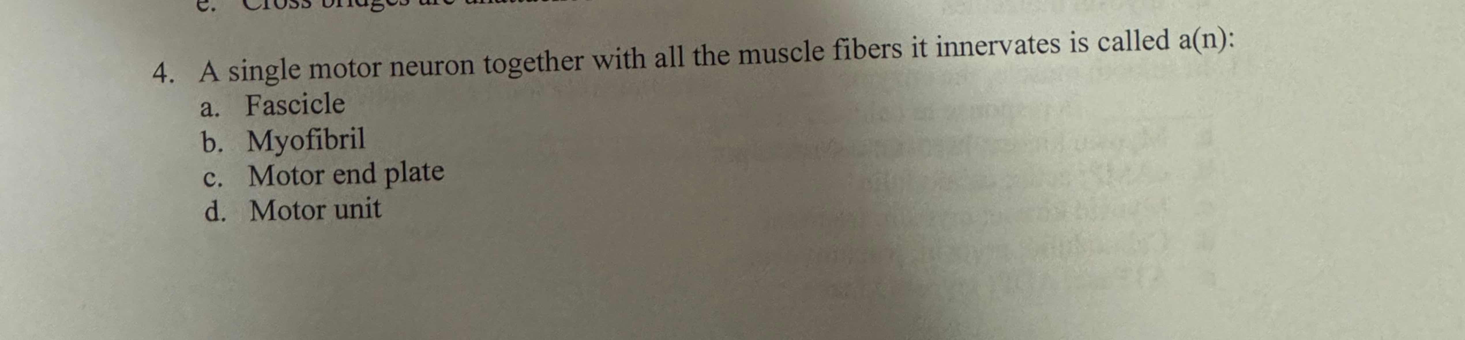 Solved A single motor neuron together with all the muscle | Chegg.com