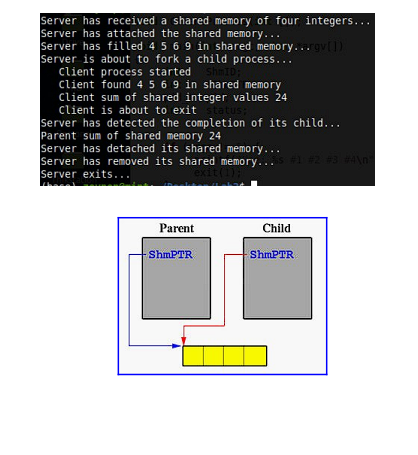 Solved The program should be written in C Programming | Chegg.com