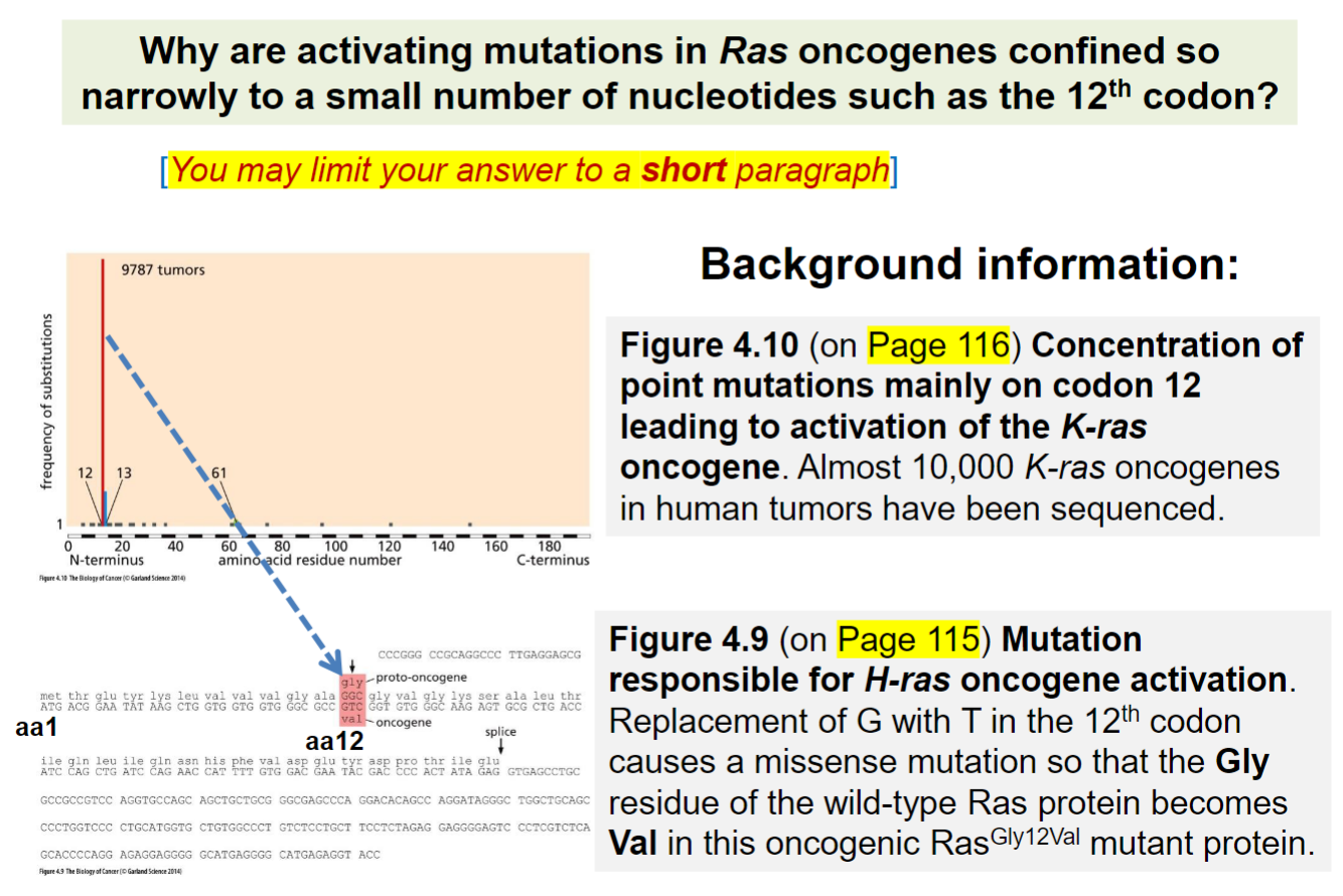 Solved Why are activating mutations in Ras oncogenes | Chegg.com