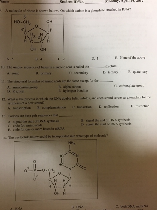 Solved A Molecule Of Ribose Is Shown Below On Which Carbon