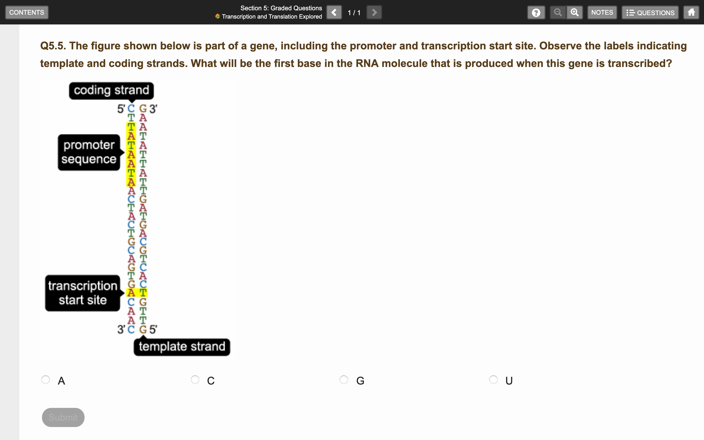 Solved Q5.5. ﻿The figure shown below is part of a gene, | Chegg.com