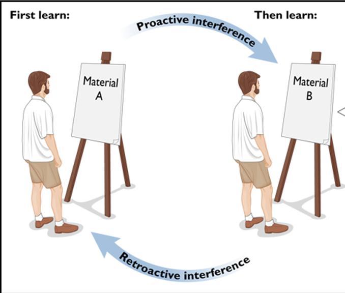 Interference Memory Psychology