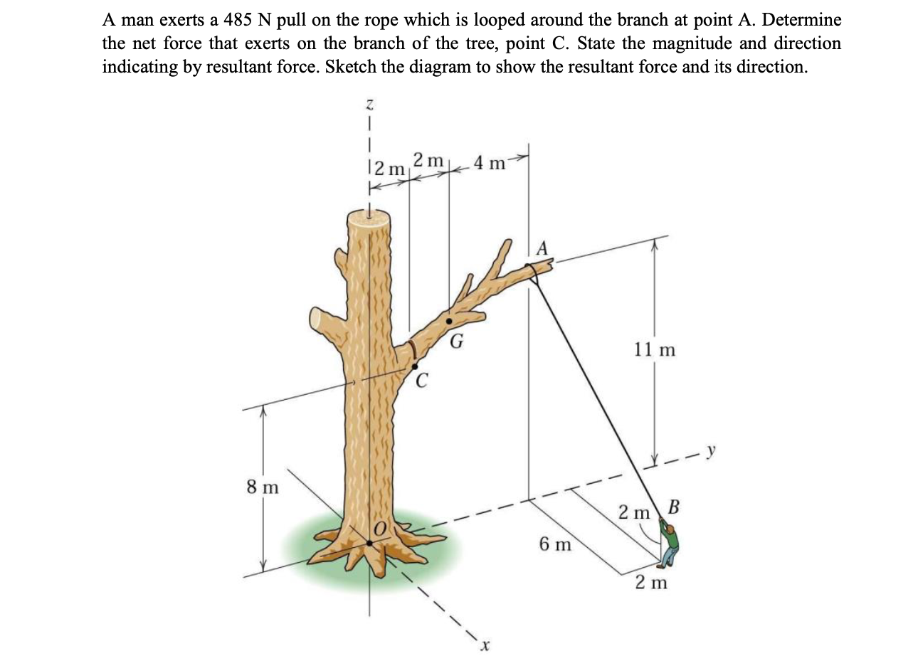 Solved A man exerts a 485 N pull on the rope which is looped | Chegg.com