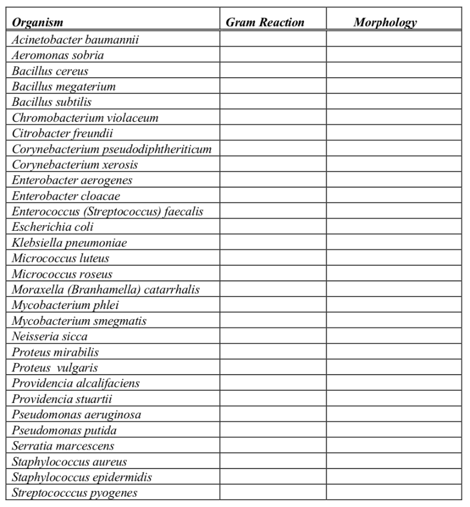 Solved Fill the gram stain and morphology of these bacteria, | Chegg.com
