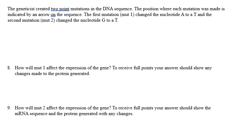 The geneticist created two point mutations in the DNA | Chegg.com