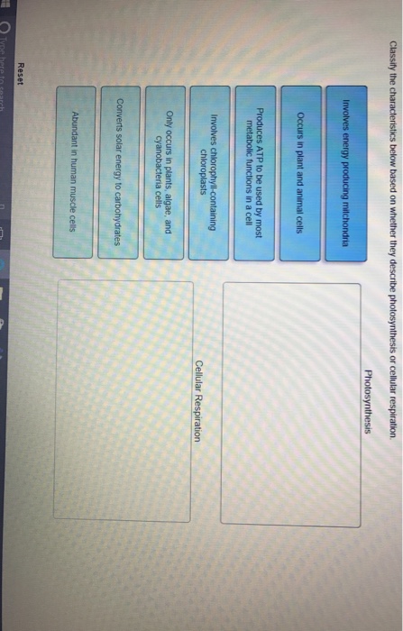 Solved Classify the characteristics below based on whether | Chegg.com