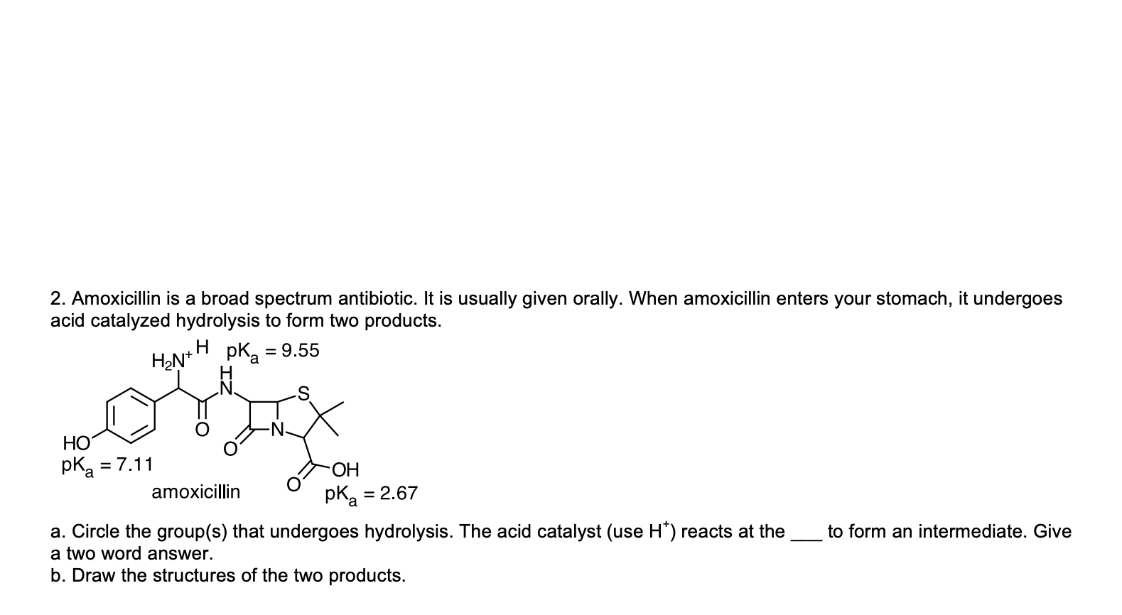 Solved 2. Amoxicillin is a broad spectrum antibiotic. It is | Chegg.com