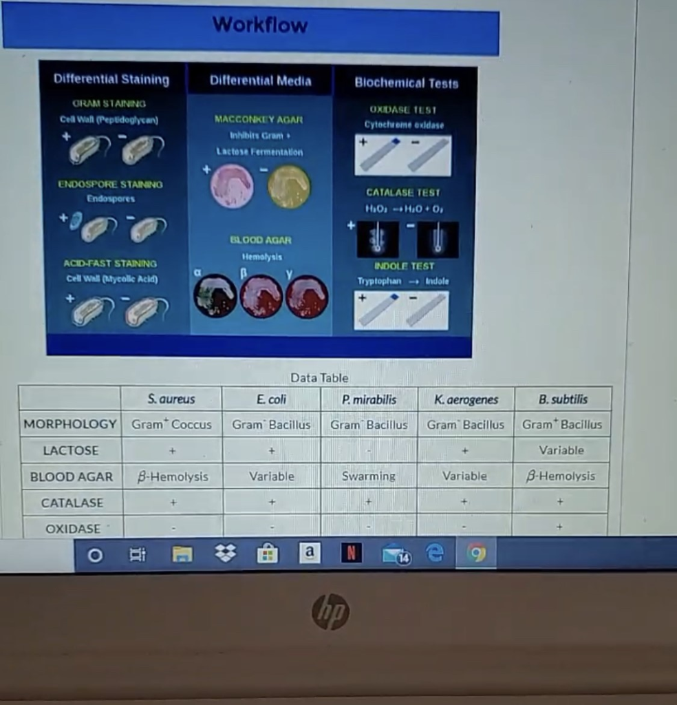 Solved Using workflow images and the data table, explain why | Chegg.com
