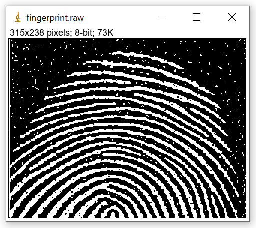 Fingerprint Raw 315x238 Pixels 8 Bit 73k 0 X E