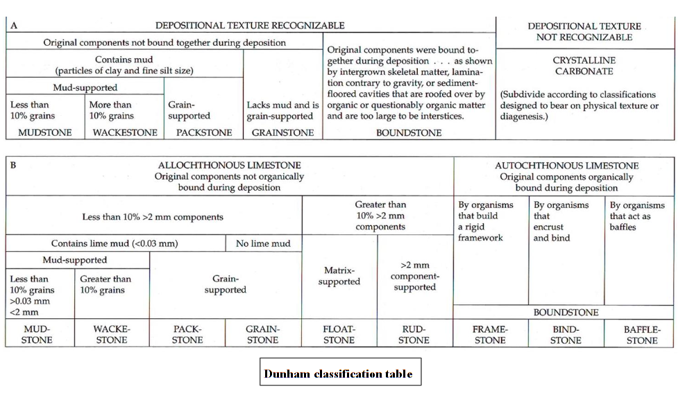 Examine the ten carbonate hand samples provided. | Chegg.com