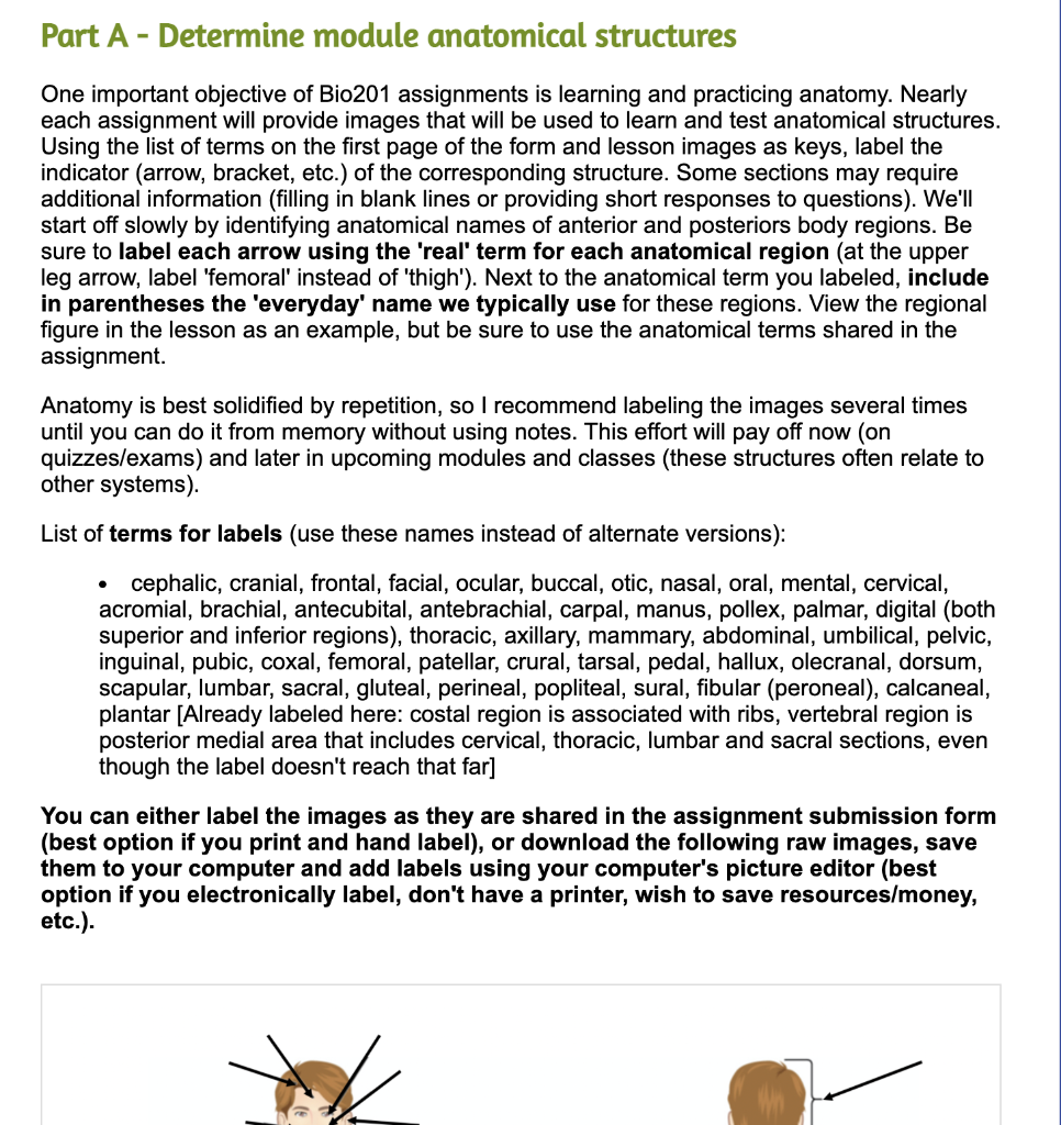 Solved Part A - Determine module anatomical structures One | Chegg.com