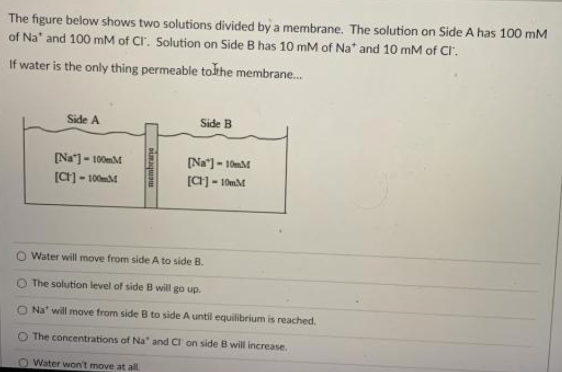 Solved For a cell at rest, what are the directions and | Chegg.com