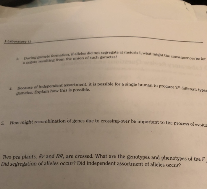 and phelpes f d ol alleles occur During aannete | Chegg.com