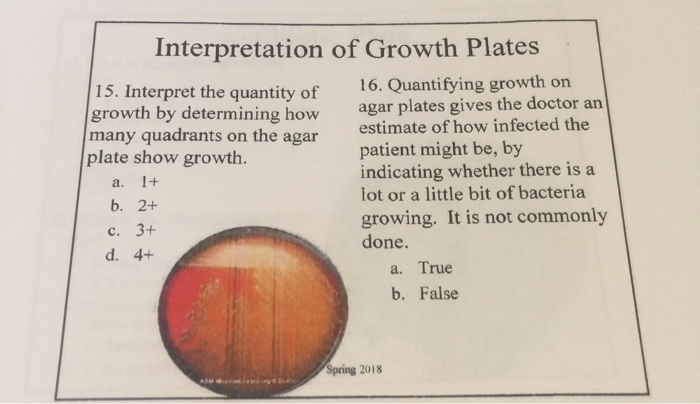 Solved Interpretation of Growth Plates 16. Quantifying | Chegg.com