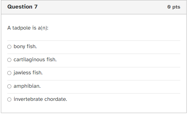 Solved Question 7 pts A tadpole is a(n): bony fish. O | Chegg.com