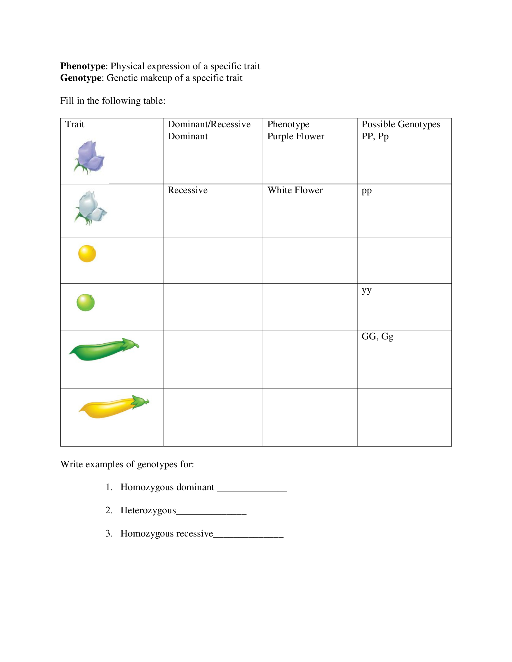 The Physical Expression Of An Organism S Genetic Makeup Is Called Its ...