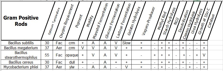 Gram Positive Rods Flow Chart Assignment 1) Do not | Chegg.com