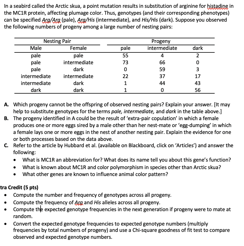 Solved In a seabird called the Arctic skua, a point mutation | Chegg.com