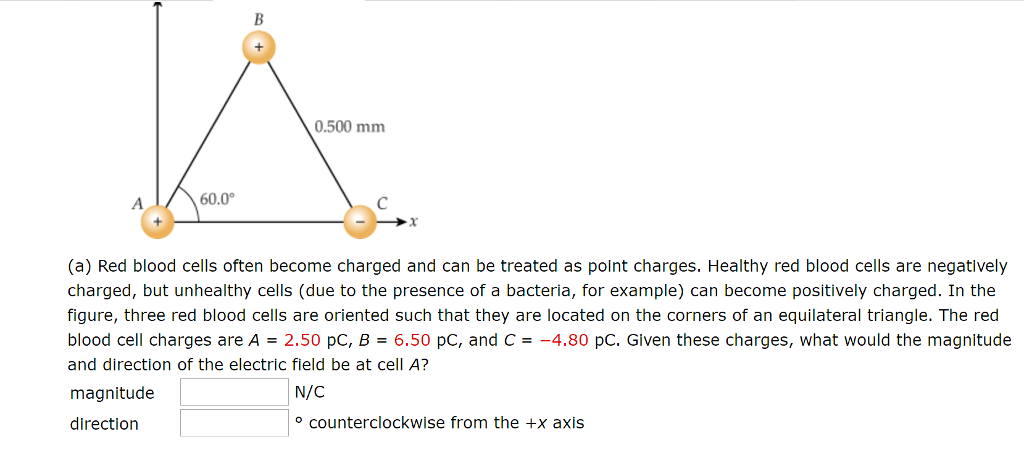 Solved 0.500 mm 60.0 (a) Red blood cells often become | Chegg.com